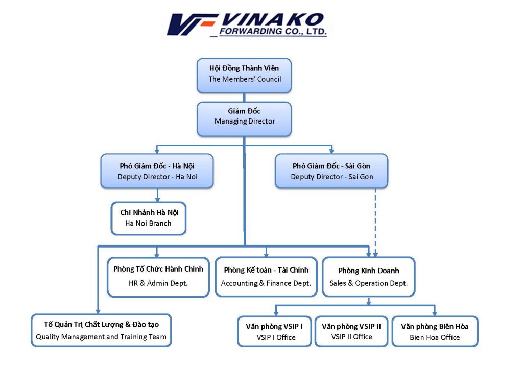Organization chart – Vinako